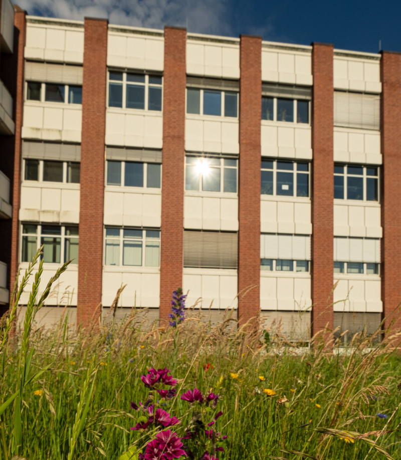 LAVES Institut für Bedarfsgegenstände Lüneburg